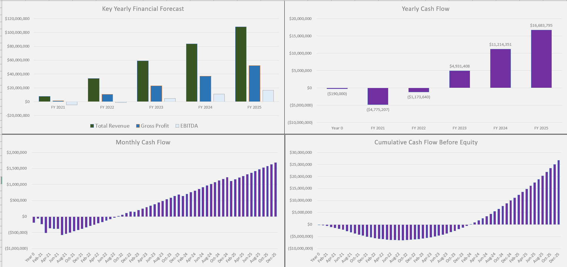 Enterprise SAAS Financial Model Template Excel | Icrest Models