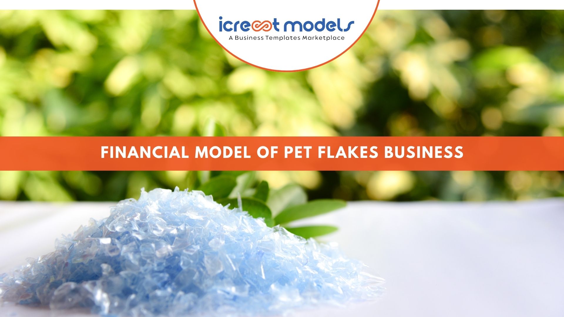Financial Model of PET Flakes Business | Icrest Models