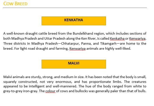 Dairy Farming Project and CMA Report Excel templates | Icrest Models