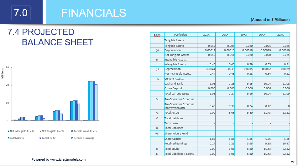 Digital Payment Business Plan Templates | Icrest Models